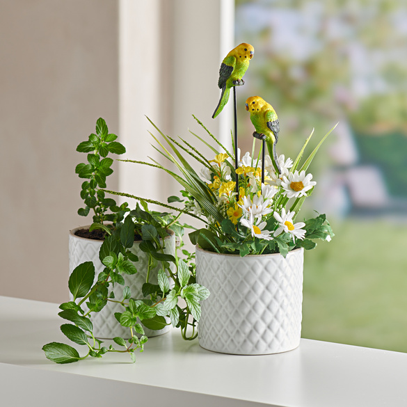 Wellensittich Stecker | 3PAGEN