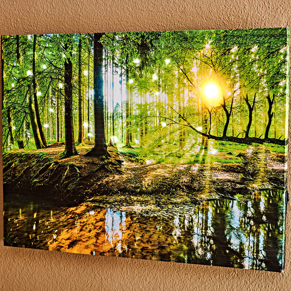 LED-Bild "Wald", Artikelnummer: 3049300