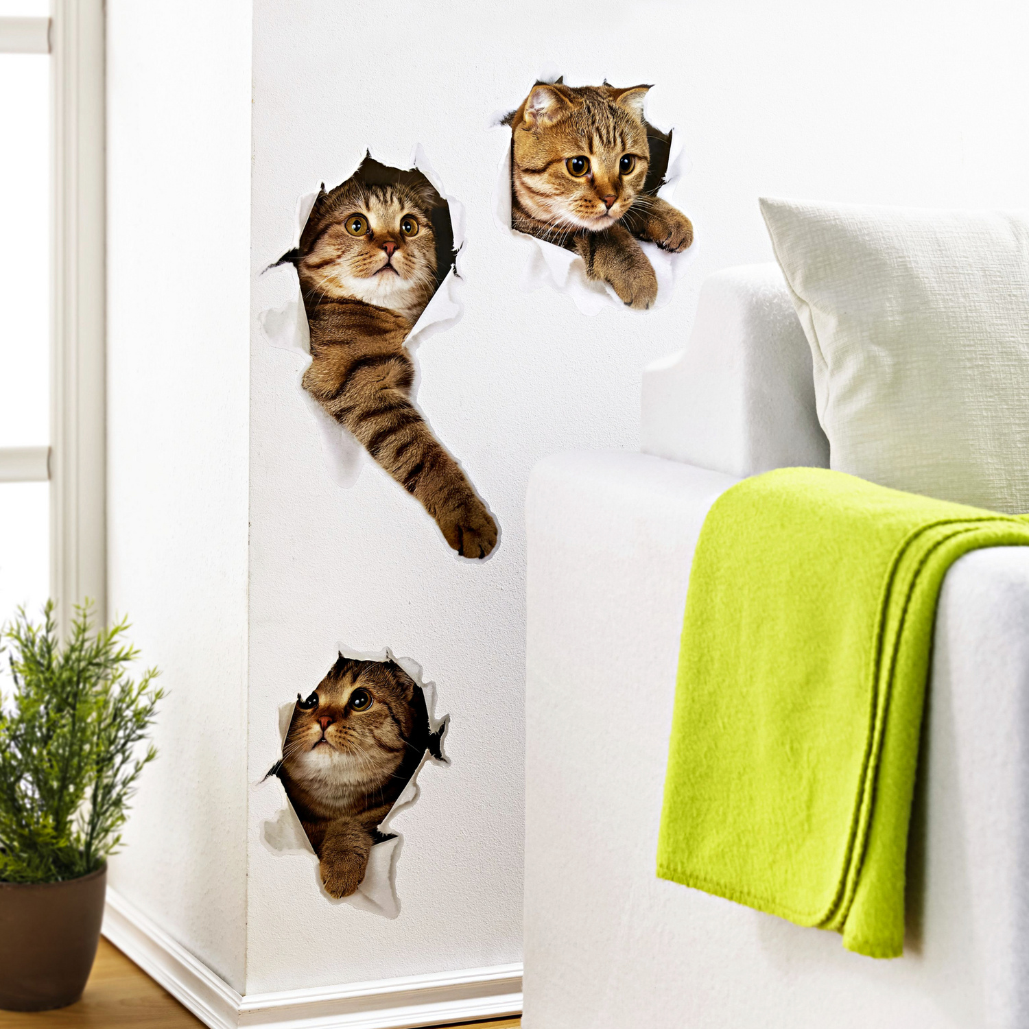 Wand-Sticker "Katzen", 3er-Set | 3PAGEN